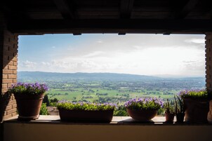 Vista pela janela com plantas em vasos e paisagem.