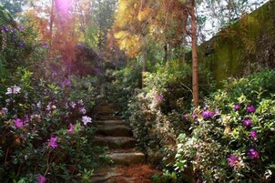 Área da propriedade