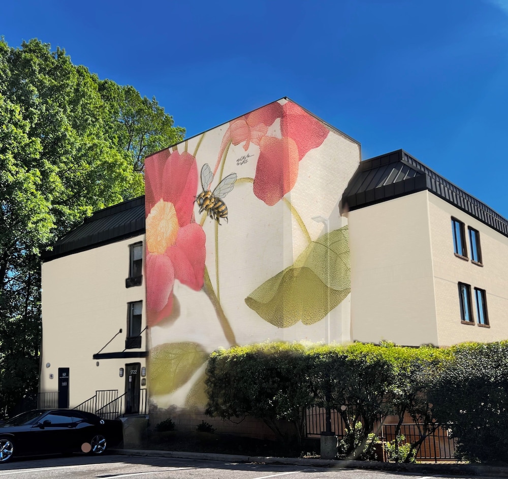 Hive House - Cary, NC