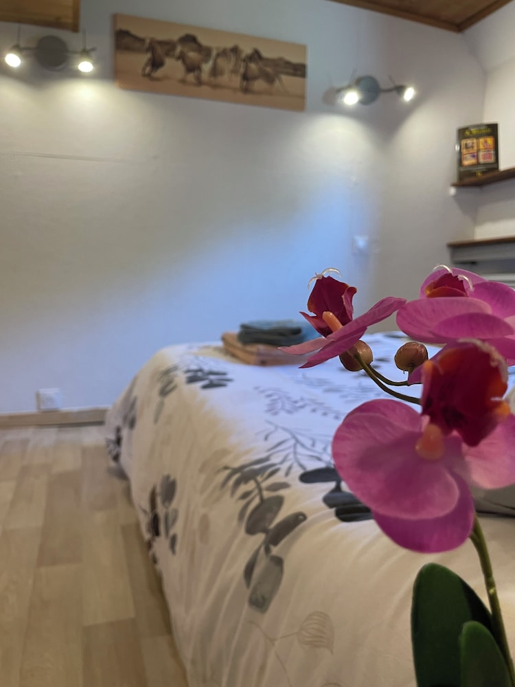 Péniche Le Pescalune - Arles