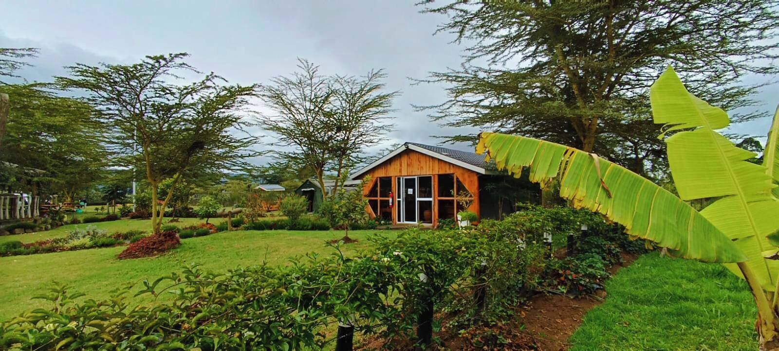 Uma casa de madeira com porta de vidro, cercada por vegetação exuberante e árvores.