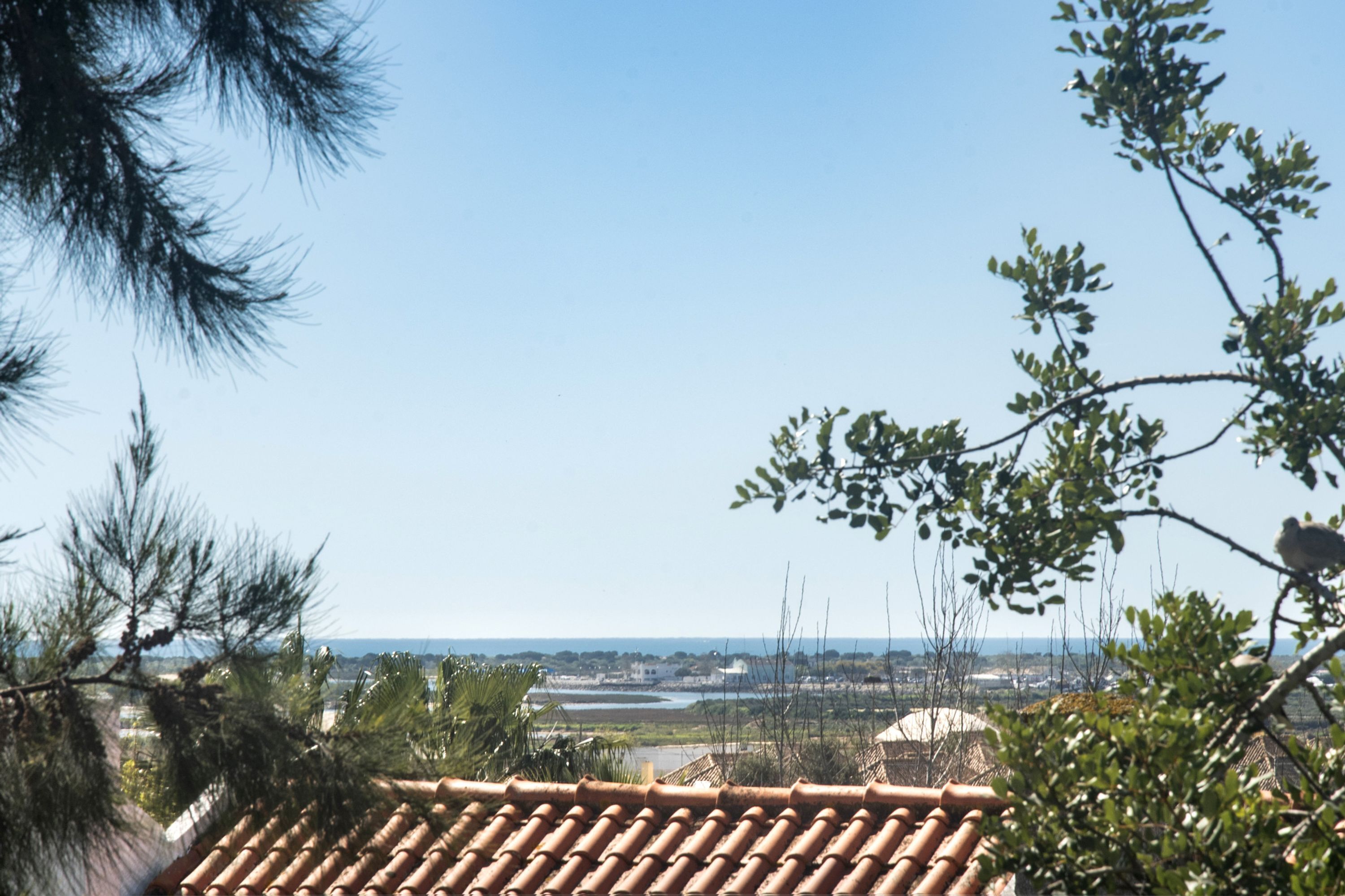 Vista de uma área costeira com telhas de barro, vegetação e um corpo d'água ao longe.