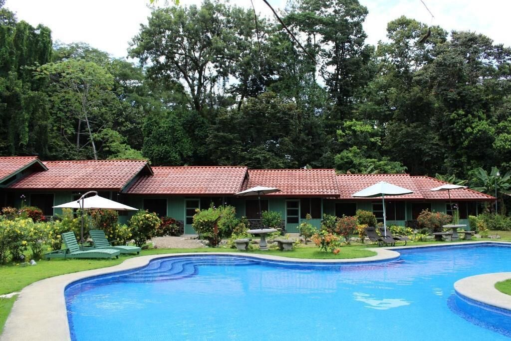 Um hotel com piscina, espreguiçadeiras verdes e guarda-sóis.