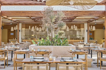 JAZ Viva Almaza Blu, Almaza Bay