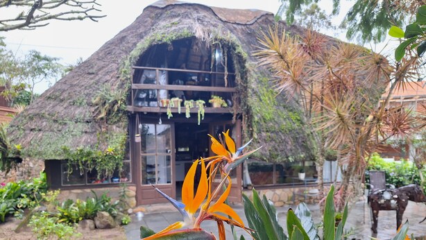 Um edifício com telhado de palha e entrada de vidro, cercado por plantas tropicais e uma flor-de-paraíso.
