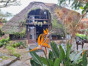 Um edifício com telhado de palha e entrada de vidro, cercado por plantas tropicais e uma flor-de-paraíso.