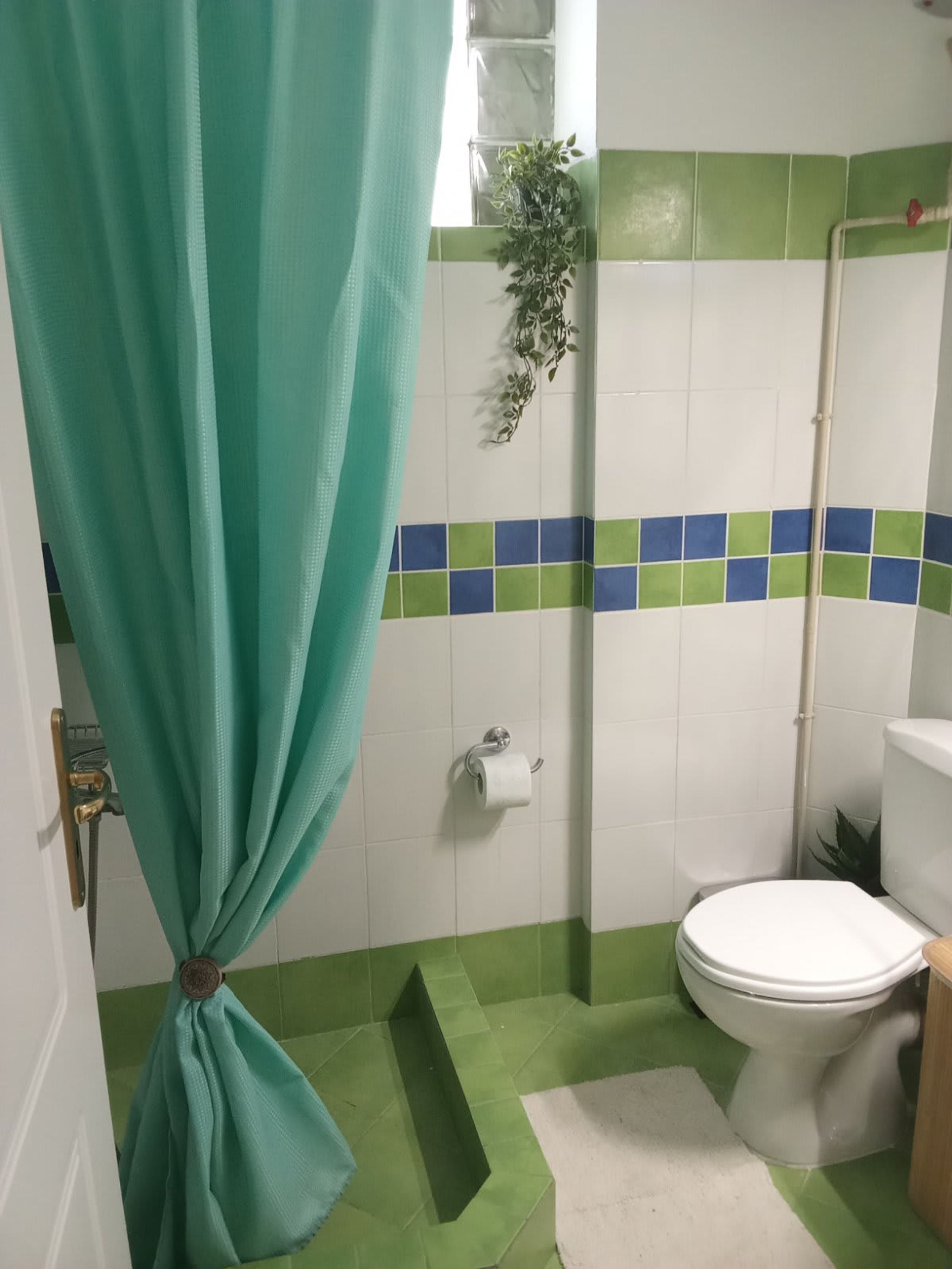 Casa de banho com chão verde, sanita branca, cortina de chuveiro e uma pequena planta na parede.