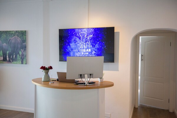 Thelab Blue - Franschhoek