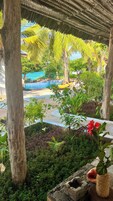 Quarto econômico, vista para o jardim | Vista para o jardim
