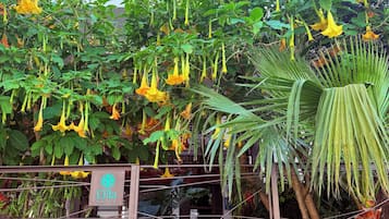 Fachada do alojamento