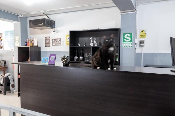 Hostal Paracas I - Ica