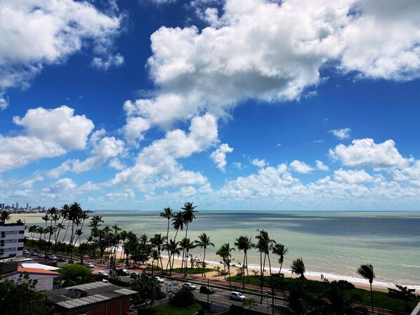 Paisagem costeira com praia, palmeiras e céu claro.