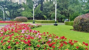 Um jardim bem cuidado, com sebes aparadas e diversas plantas floridas.