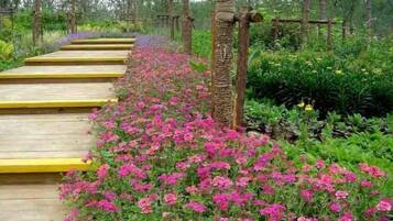 Terrenos do alojamento