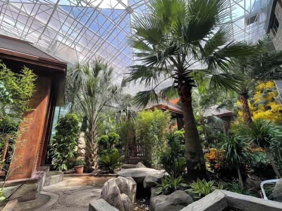 Uma estufa com plantas tropicais, um caminho de pedra e teto de vidro.