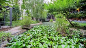 Um jardim exuberante com vitórias-régias, pérgola e diversas árvores.