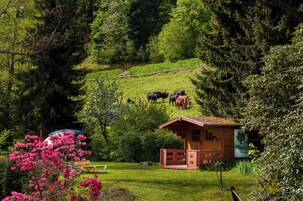 Área da propriedade