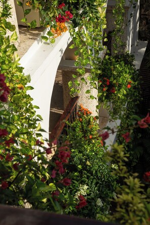 Terrenos do alojamento