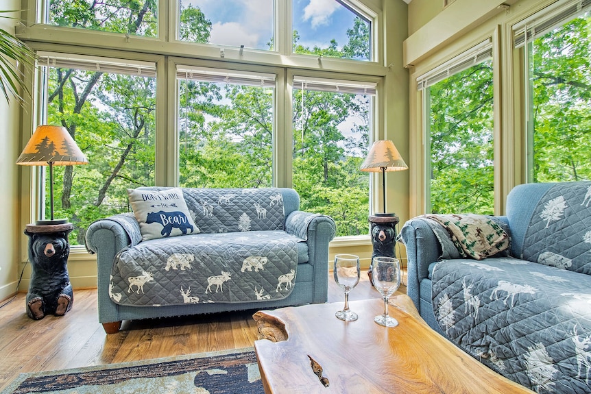 Pet-friendly Home Near Resort & Ski Area + Passes - Massanutten, VA
