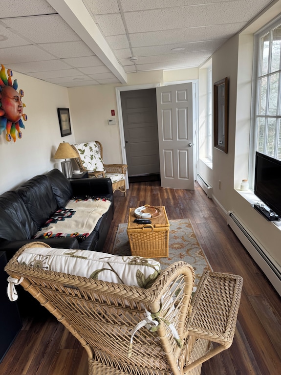 Spring Flowers Coming Up. Pus Great Views Of Croton River Gorge, A Birder Haven - Long Island, NY