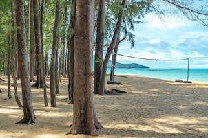 Na praia, serviço de traslado de/para a praia grátis
