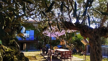 Jardim