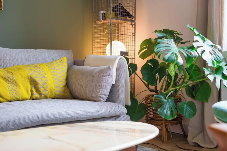 Bob, Surprenante Maison Avec Parking En Centre - Musée des Beaux-Arts de Rouen