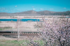 Quarto Duplo ou Twin Básico, serviço de limpeza e arrumação, vista para a montanha | Wi-fi grátis 