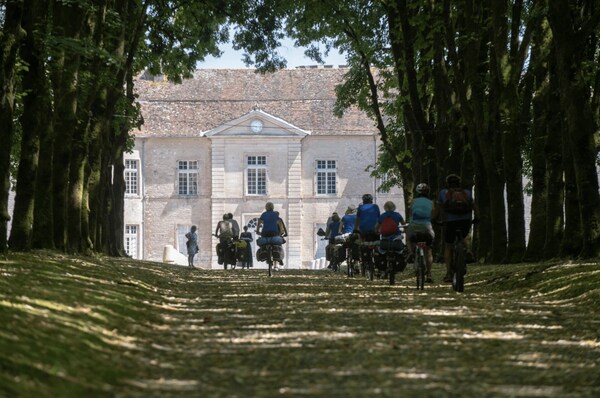 Le Tilleul De Ray - Département Haute-Saône