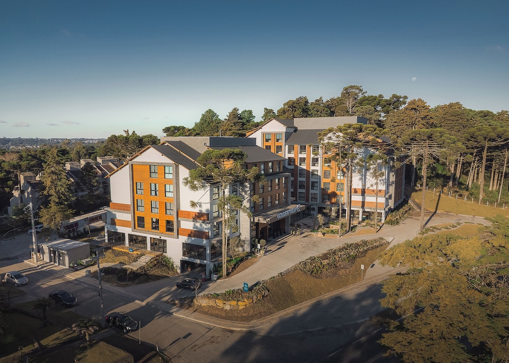 Golden Tulip Canela Oficial - Canela