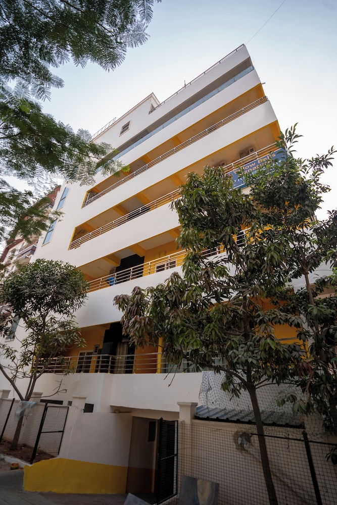 Yellow Bells Signature - Hyderabad