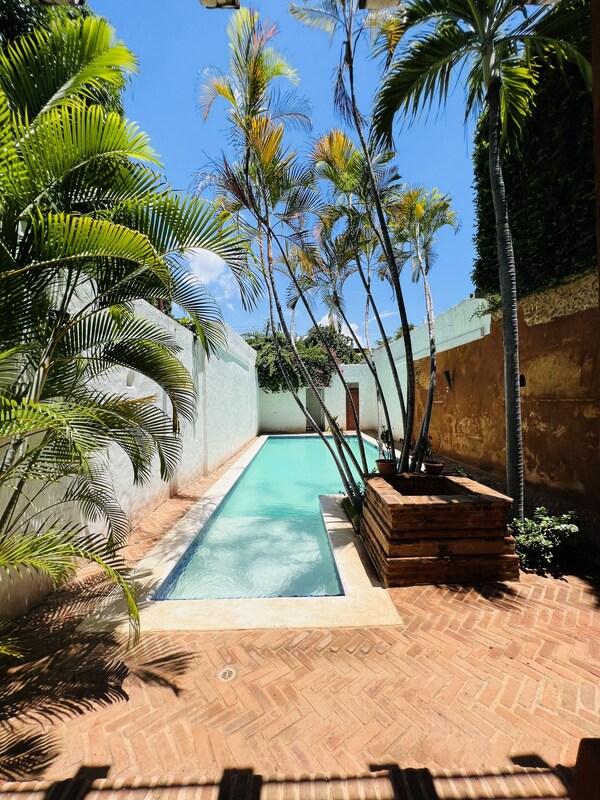 Paseo Colonial - Leo's Favorite - Dominican Republic