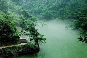 Vista da propriedade