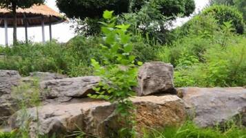 Área da propriedade