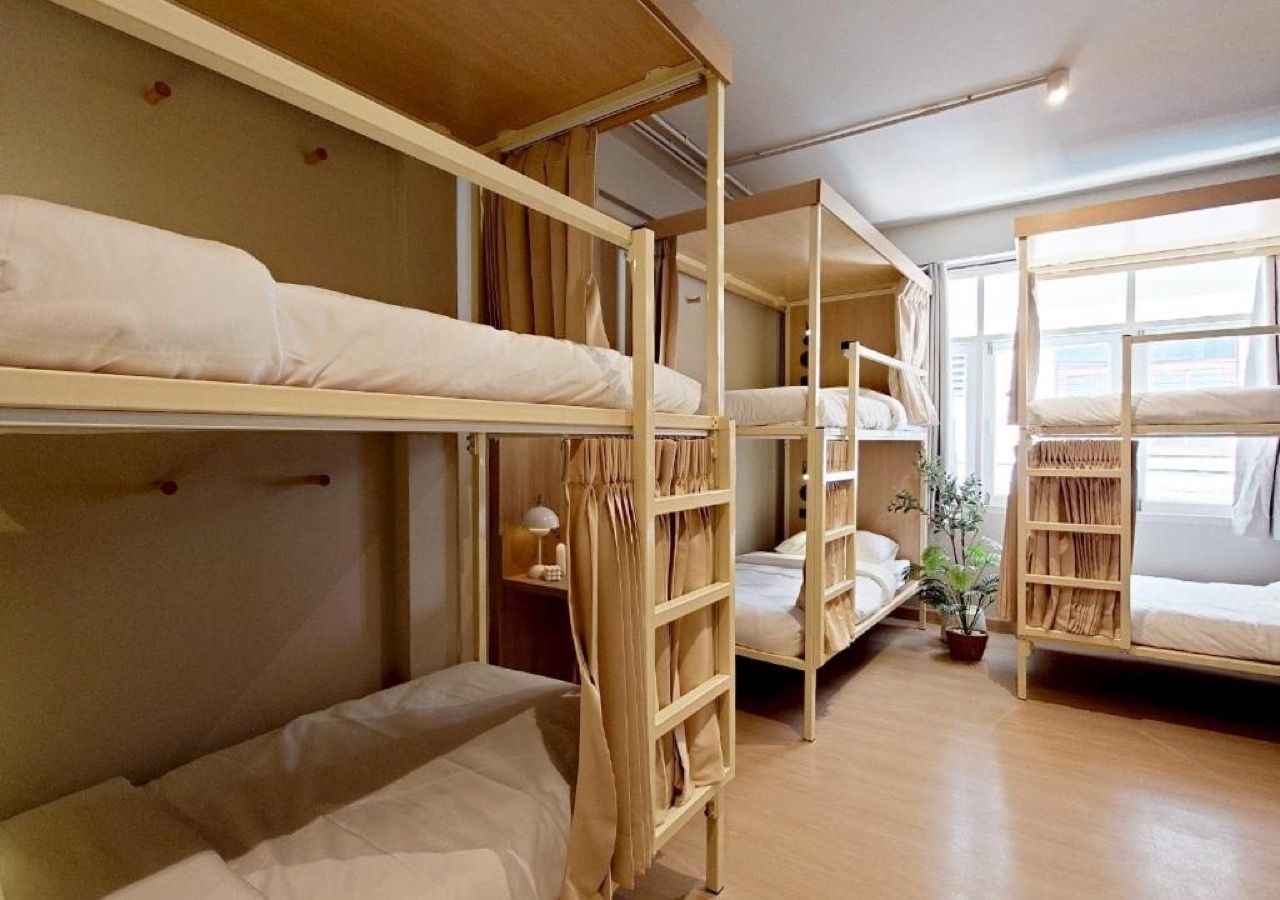 Quarto com beliches, uma escada, uma mesinha com abajur e um vaso de planta.
