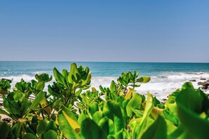 Uma praia com vegetação verde em primeiro plano e uma vista clara do oceano.