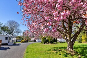 Chalé | Vista da propriedade