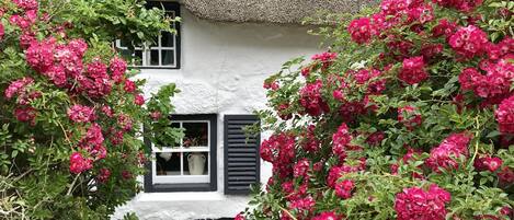 Casa de Campo | Exterior