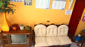 Um quarto com um móvel de madeira para TV, um sofá e um vaso com planta.