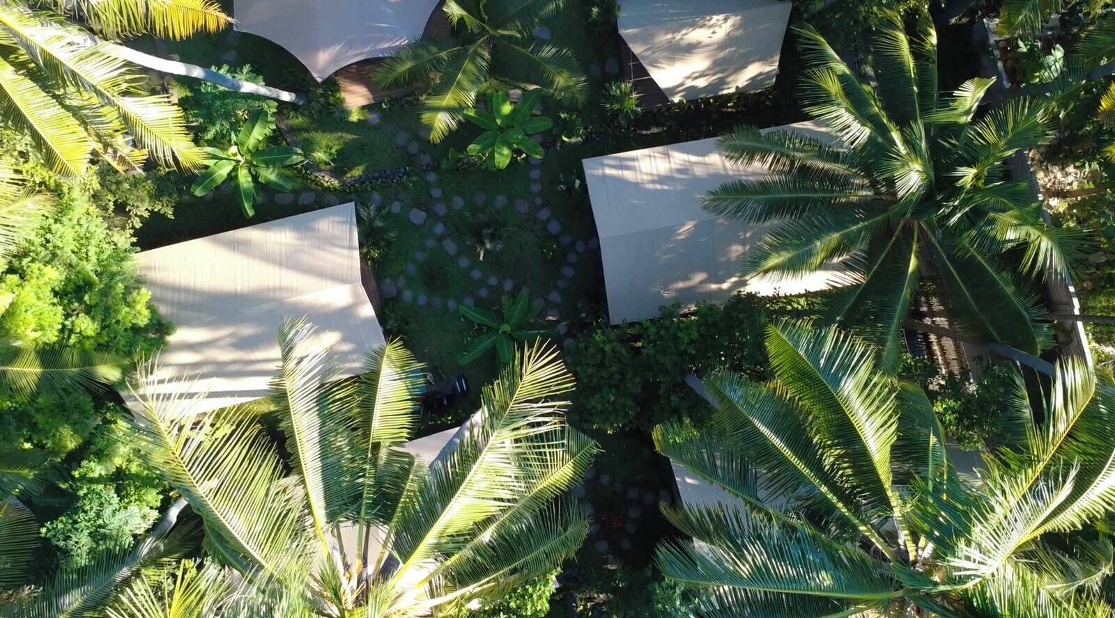 Jardim
