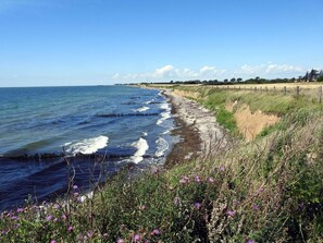 Paisagem costeira com praia arenosa, ondas e vegetação.