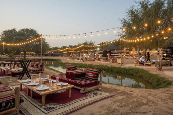 Al Marmoom Oasis Bedouin Tent Experience - Dubaï