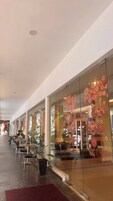 Terraço/pátio interior