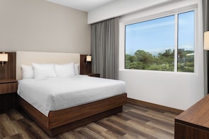 Suite-Estúdio, 1 cama king-size, cozinha | Wi-fi grátis