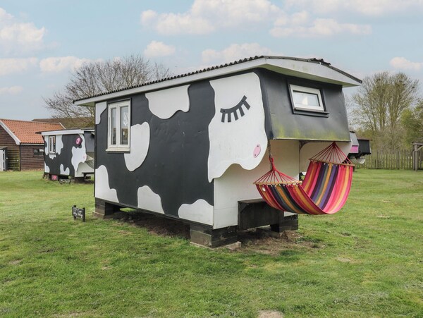 Dozy Dotty - Suffolk