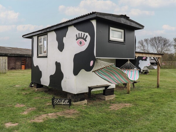 Bluebelle - Suffolk