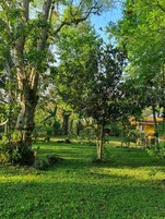 Terrenos do alojamento