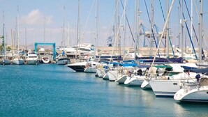 Uma marina com vários barcos atracados em águas calmas.