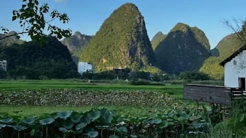 Vista da propriedade