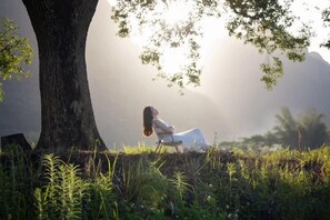 Uma pessoa sentada numa cadeira sob uma árvore em um ambiente natural.